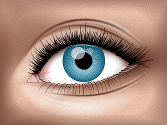 Blue eye Royalty Free Vector Image - VectorStock