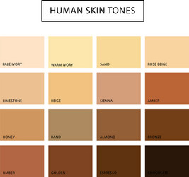 Skin tone infographic color table chart beauty Vector Image