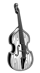 Drawing double bass Royalty Free Vector Image - VectorStock
