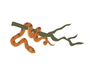 Snake Hanging Vector Images (over 160)