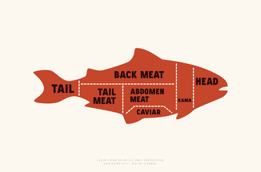 Fish cuts diagram in thin line style Royalty Free Vector