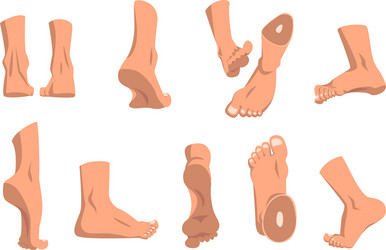 Human foot in various positions set different Vector Image