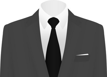 Wedding suit in a suit with a tie in the ve Vector Image
