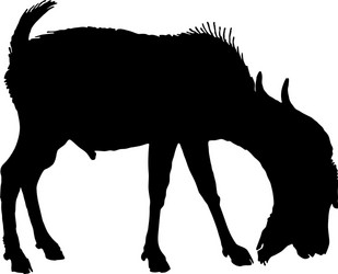 Billy Goat Vector Images (over 330)