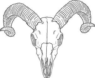 Ram Skull Logo Vector Images (over 130)