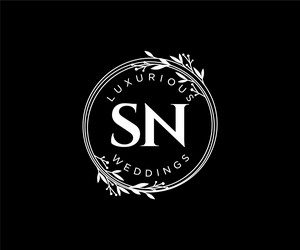 Sns Logo Vector Images (over 2,700)