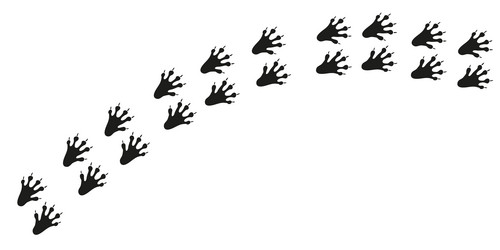 Squirrel Footprint Vector Images (over 250)