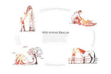 Wild animals rescue - people taking care Vector Image