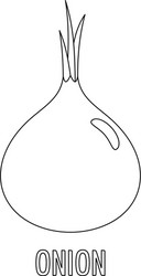 Onion Outline Vector Images (over 7,200)