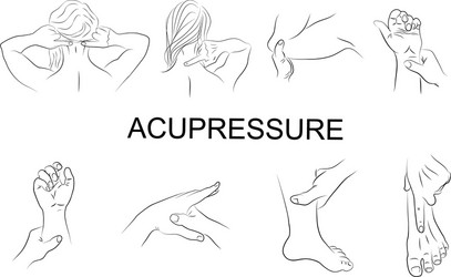 Acupressure Points Vector Images (over 240)