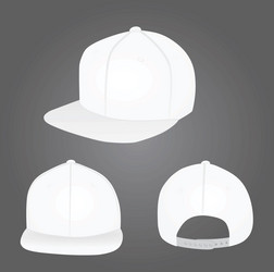 Man in Baseball Cap Back View Vector Images (98)