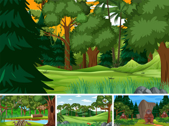Different forest scenes with wild animals Vector Image