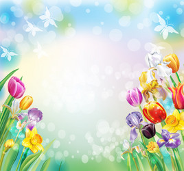 Flowers of iris Royalty Free Vector Image - VectorStock