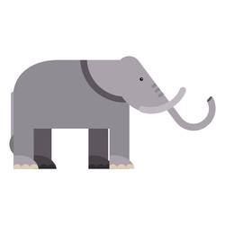 Elephant ivory tail ear trunk pattern detailed Vector Image