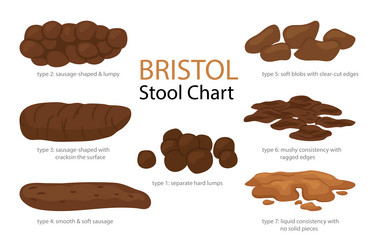 Bristol stool form scale with faeces type images Vector Image
