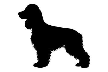 Cocker spaniel dog silhouette Royalty Free Vector Image