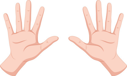 Human hands left and right Royalty Free Vector Image