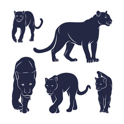 Panther design logo Royalty Free Vector Image - VectorStock