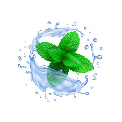 Realistic water splash with green mint leaves Vector Image