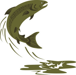 Trout Vector Images (over 12,000)
