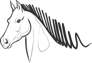 Horse race doodle drawing running fast speed pet Vector Image