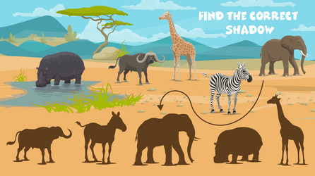 Find two same african savannah safari animals game