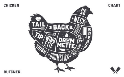 Farm bird cut diagram chicken poultry butcher Vector Image
