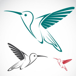 Hummingbird Vector Images (over 8,100)