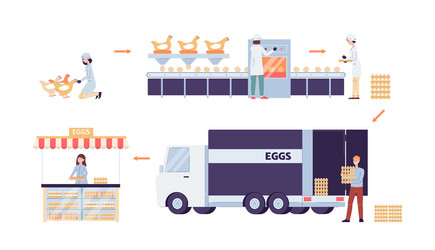 Farming Infographic Poultry Vector Images (over 210)