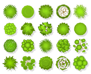 Palm Tree Plan View Vector Images (over 180)