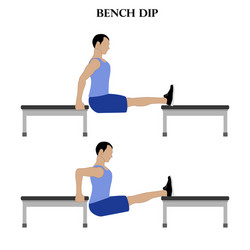Bench dip exercise strength workout Royalty Free Vector