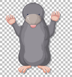 A mole in hole cartoon Royalty Free Vector Image