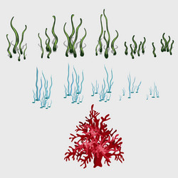 Underwater Grass Vector Images (over 2,800)