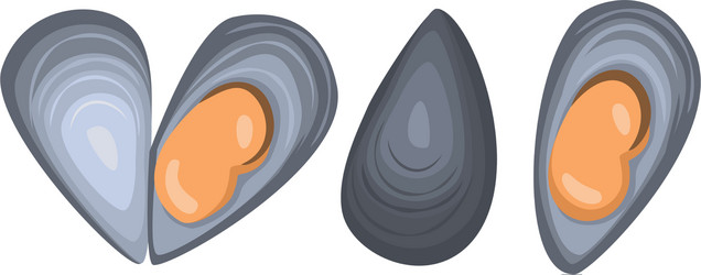 Mussel Cartoon Vector Images (over 940)