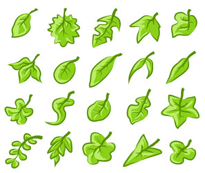 Tiny Vector Images (over 46,000)