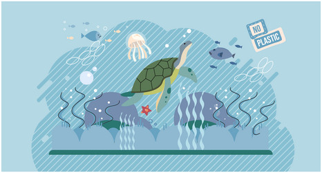 Save the Turtle Vector Images (over 510)