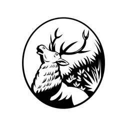 Red Stag Vector Images (over 1,300)