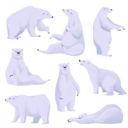 Bear Poses Vector Images (over 3,400)