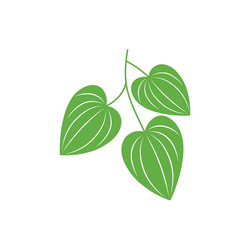 Betel Leaf Icon Vector Images (61)