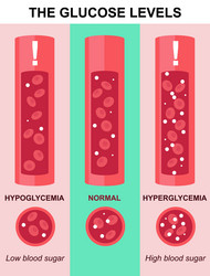 Glucose blood level sugar test diabetes insulin Vector Image