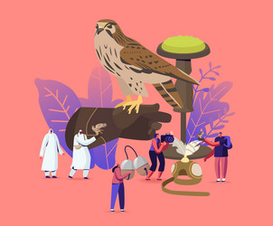 Falcon Cartoon Vector Images (over 5,900)