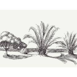 Sea view small beach and palm trees Royalty Free Vector