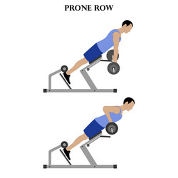 Seated pulley row exercise strength workout Vector Image