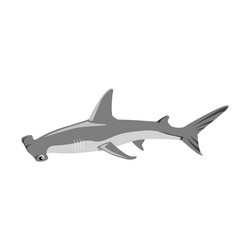 Hammerhead Vector Images (over 1,000)