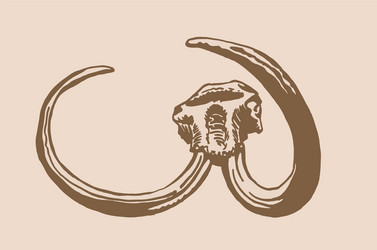 Graphical hand-drawn skull mammoth isolated Vector Image
