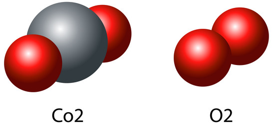 Co2 3d Structure