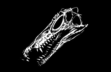 Gator Skull Vector Images (27)