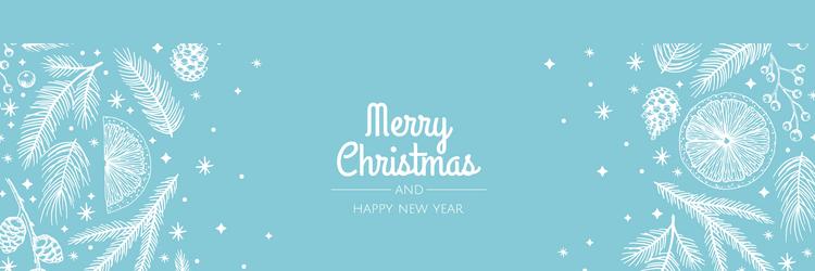 Winter banner with hand drawn conesxmas tree Vector Image