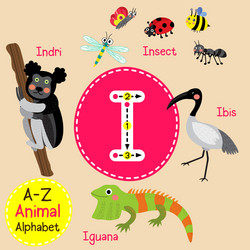 Alphabet Letter I and Iguana Vector Images (over 130)