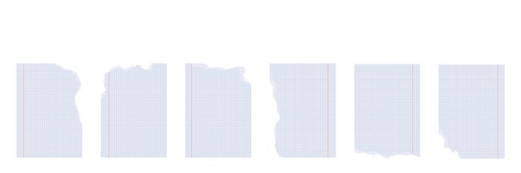 Set of torn paper snippets a checkered crump Vector Image